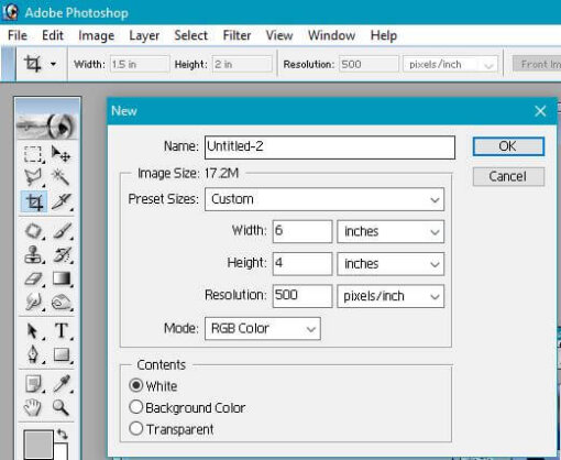 How To Make Passport Size Photo Easy And Fast W3templates